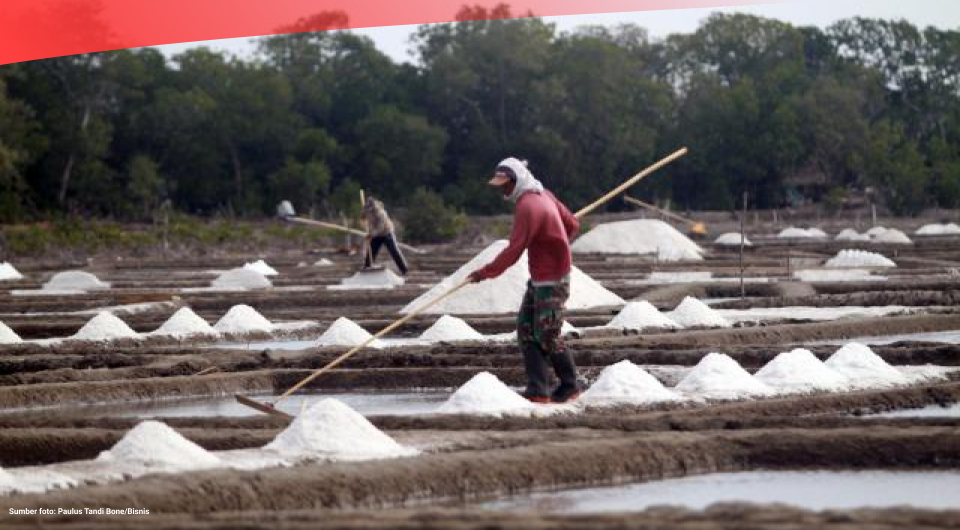 Data Impor Garam Indonesia (2012-2022) - Dataindonesia.id