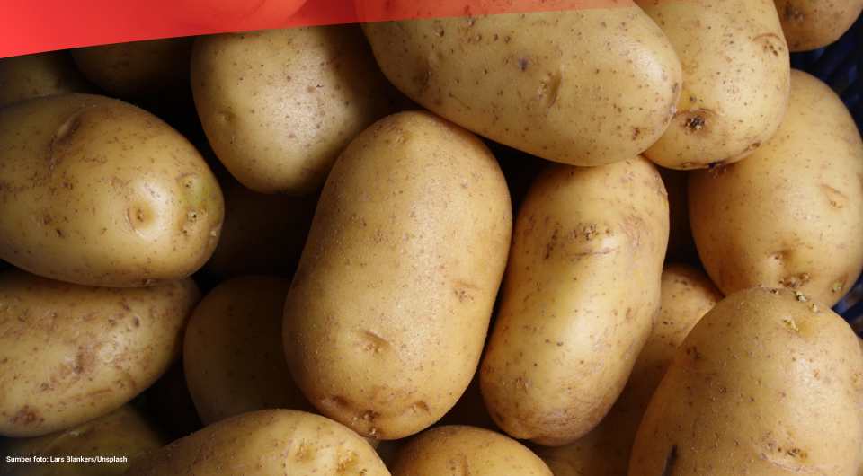 Produksi Kentang Indonesia Capai 1,42 Juta Ton pada 2022 - Dataindonesia.id