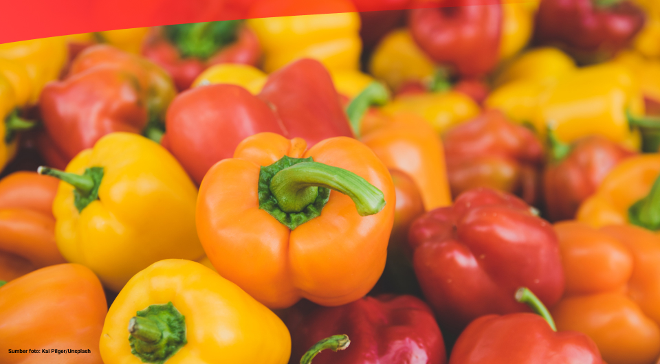 Produksi Paprika Indonesia Melonjak Jadi 53.620 Ton pada 2022 ...