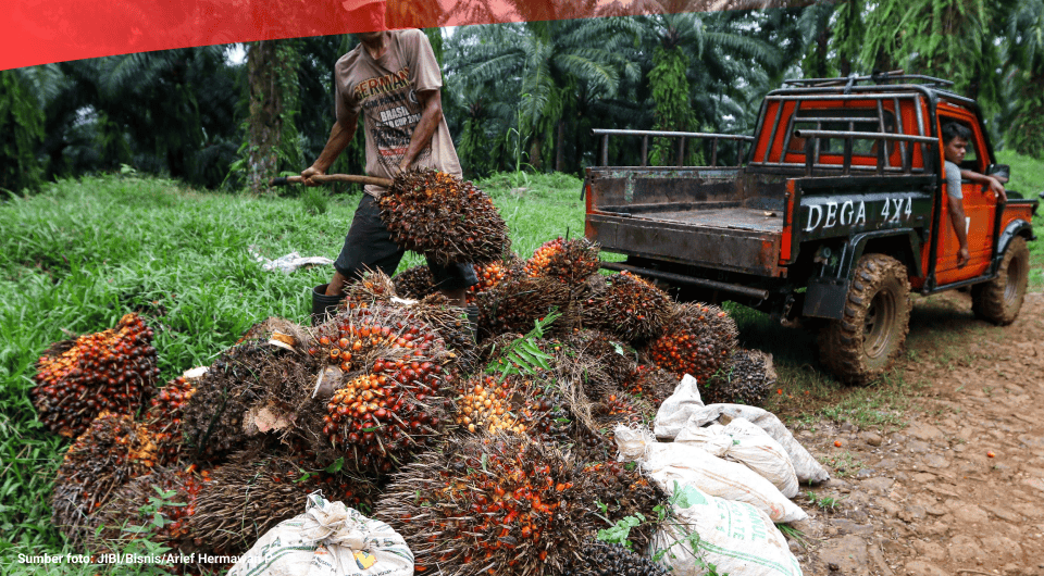 Data Negara dan Wilayah Konsumen Minyak Kelapa Sawit Terbesar di Dunia ...